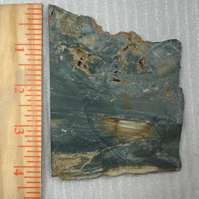 Mcdermitt Oregon Petrified Bogwood Larsonite Jasper Slab - Etsy