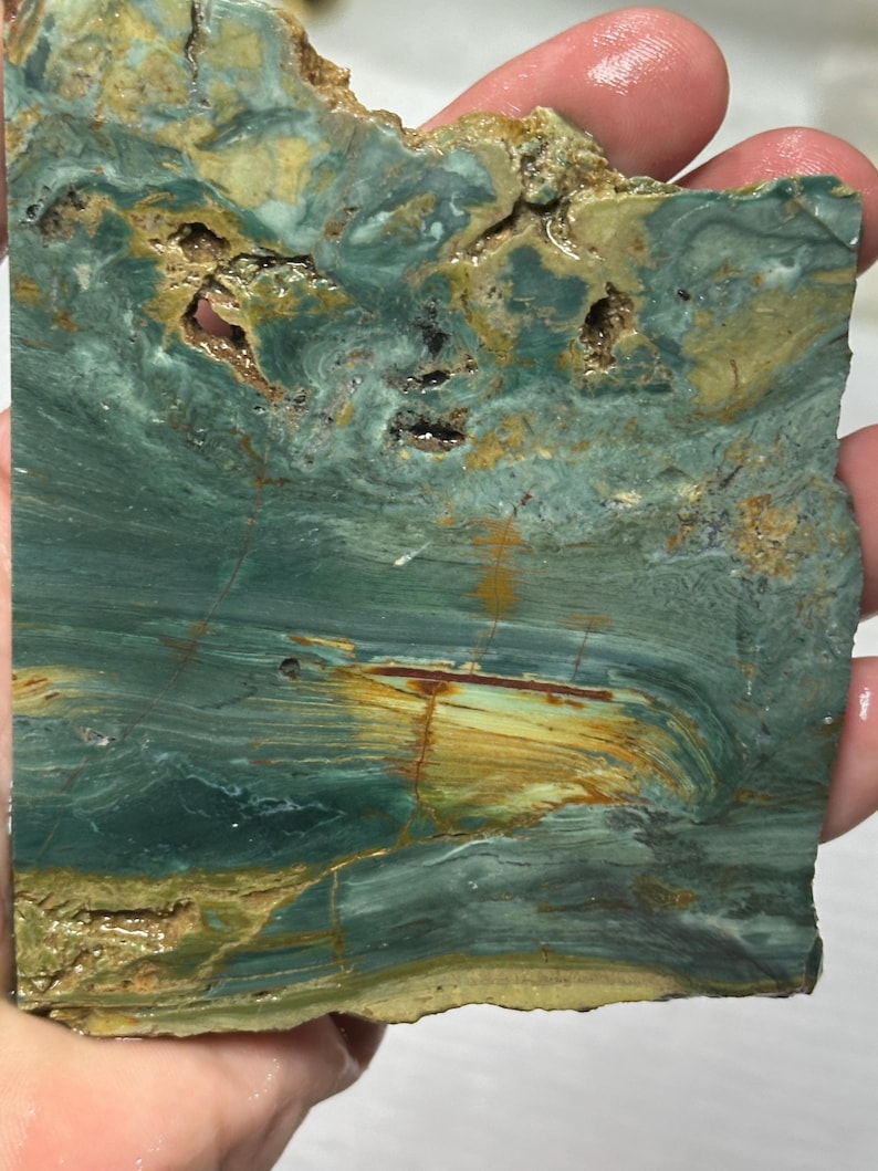 Mcdermitt Oregon Petrified Bogwood Larsonite Jasper Slab - Etsy