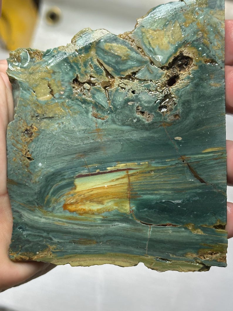 Mcdermitt Oregon Petrified Bogwood Larsonite Jasper Slab - Etsy