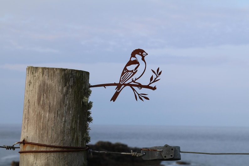 Handcrafted Corten Steel Finch Sculpture Rustic Metal Bird Art for ...
