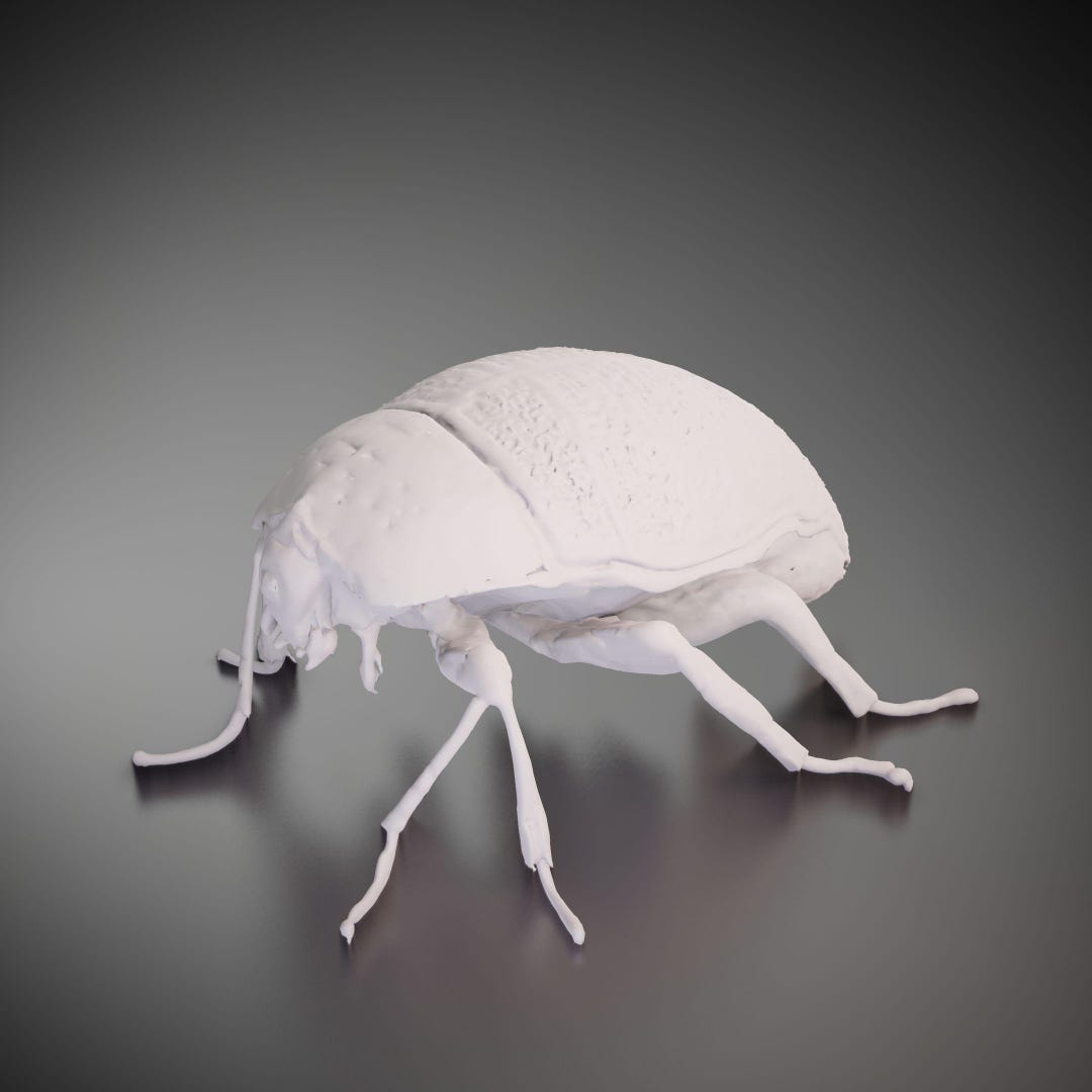 Bug - 3D Printed Model | Custom Size & Color | LED Option | Pendant or ...