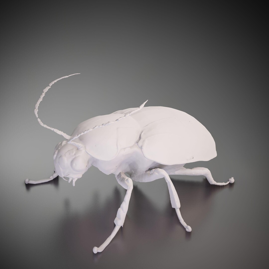 Bug - 3D Printed Model | Custom Size & Color | LED Option | Pendant or ...