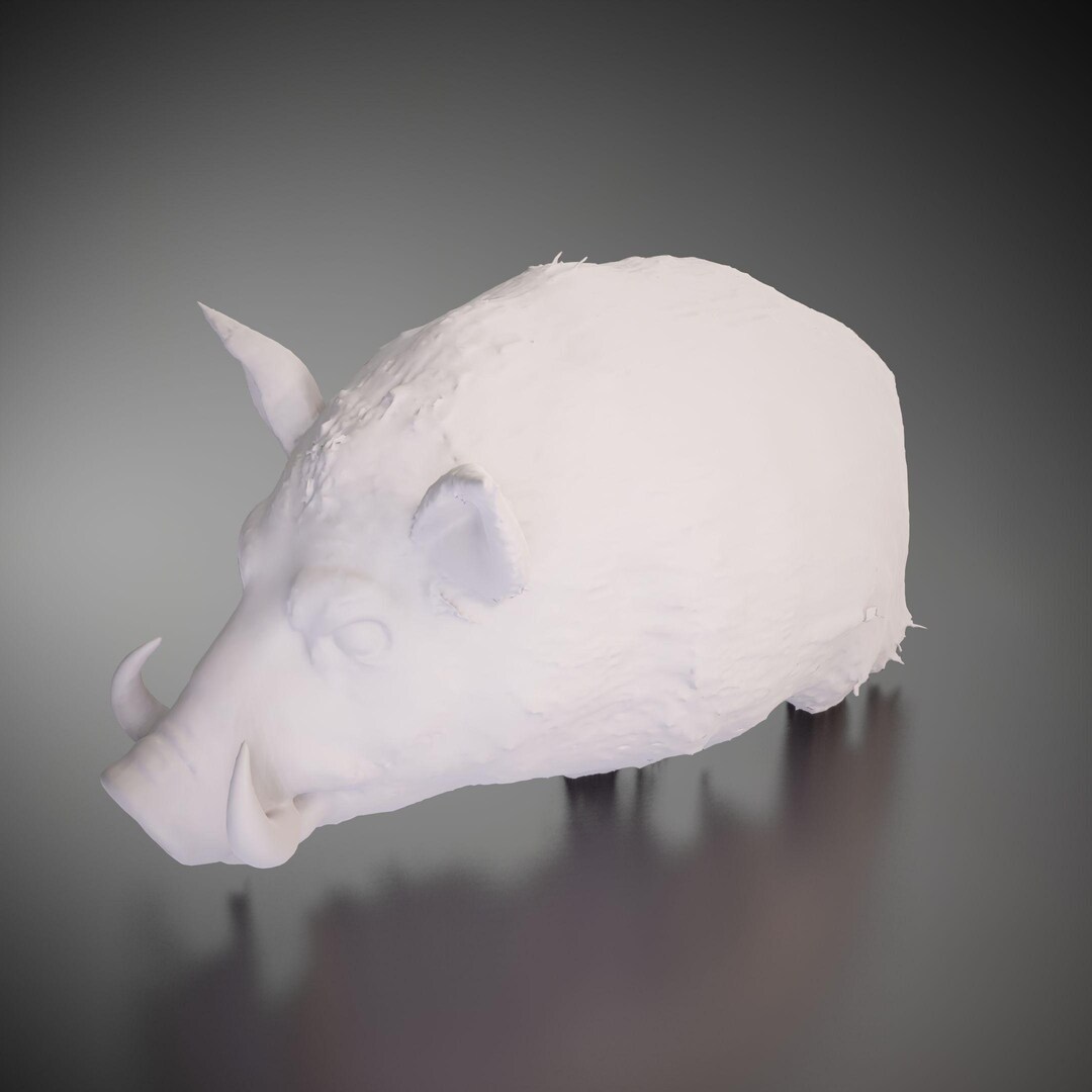 Boar Head - 3D Printed Model | Custom Size & Color | LED Option ...
