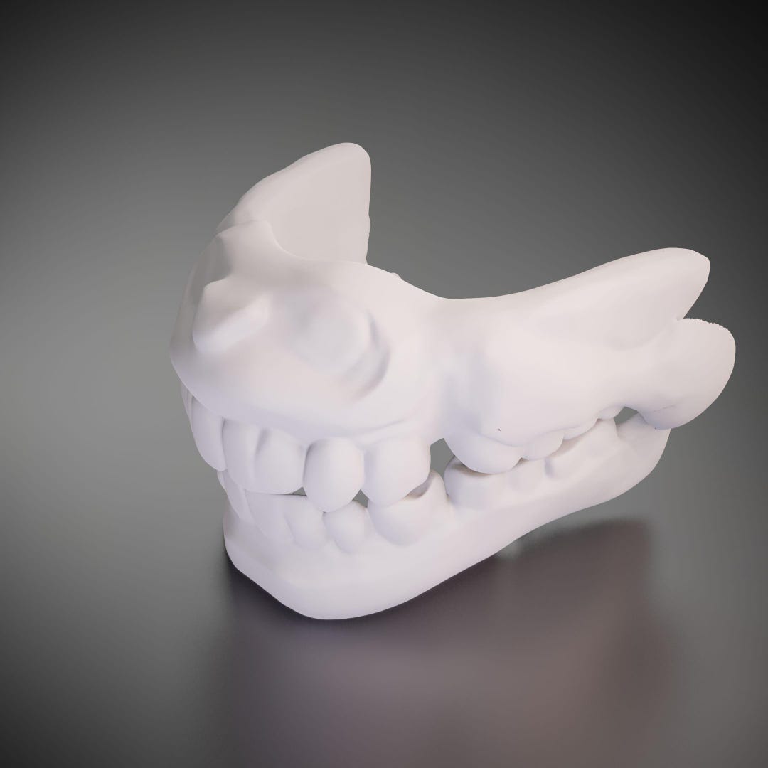 Denture Animal - 3D Printed Model | Custom Size & Color | LED Option ...