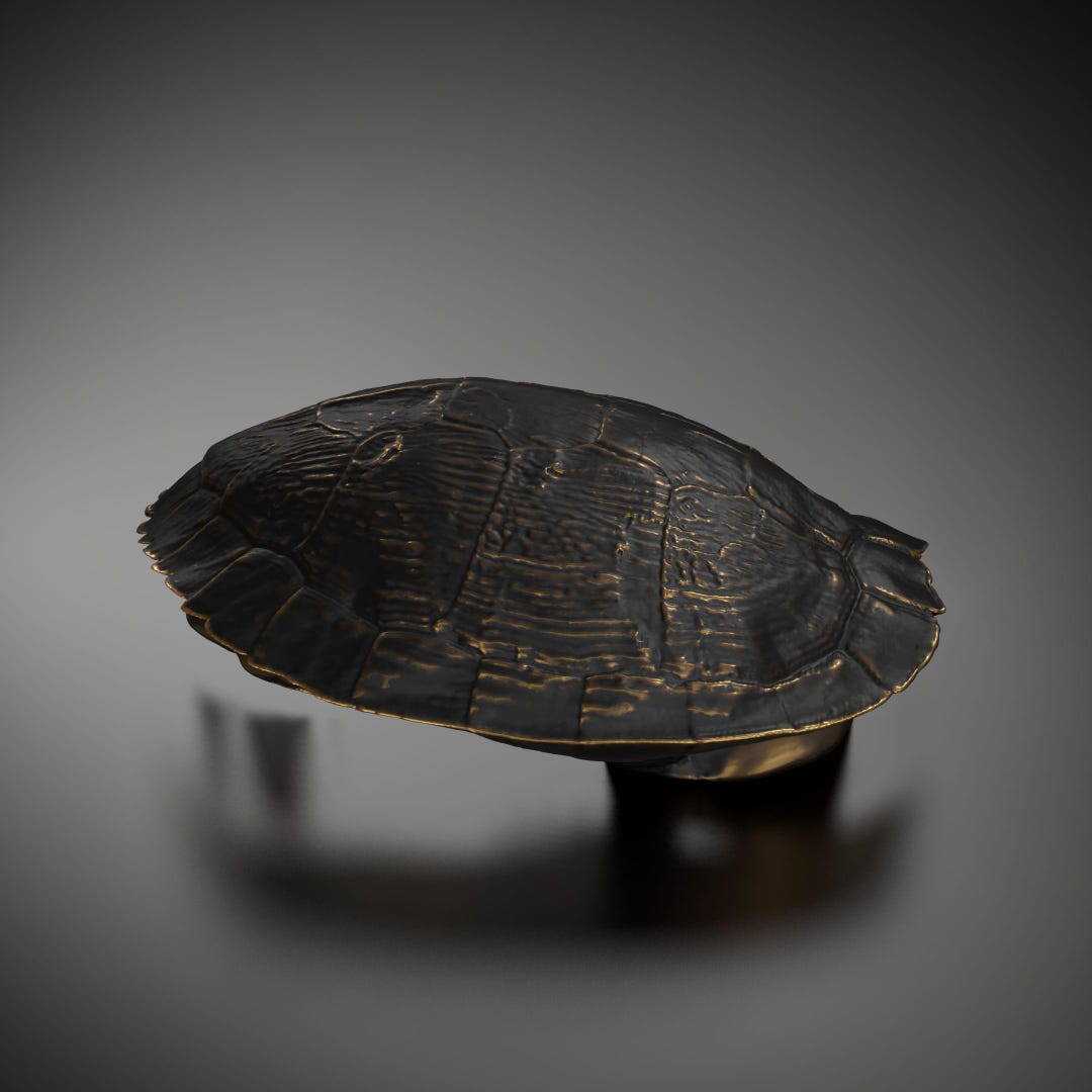 High Quality Hand Painted Turtle Shell in Different Colors - Etsy