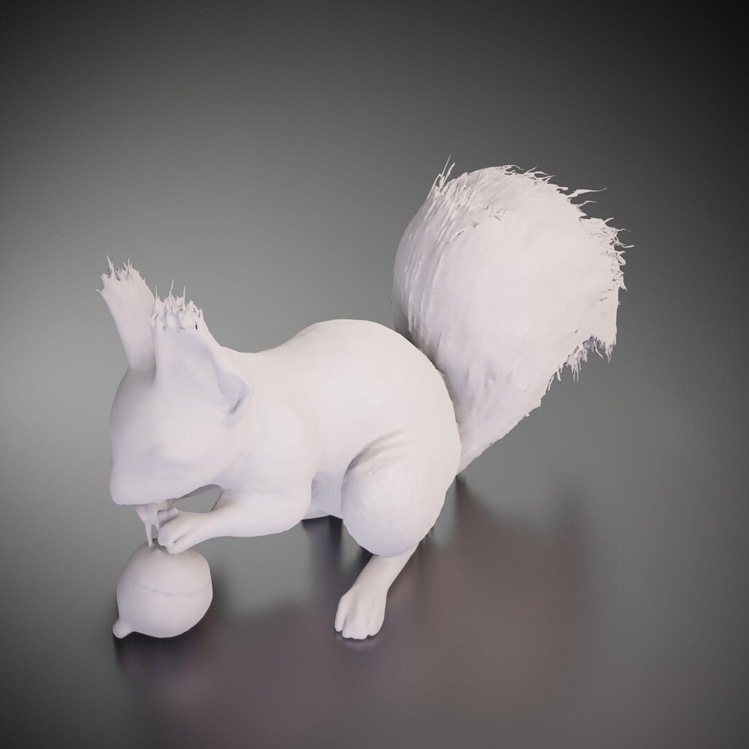 Squirrel - 3D Printed Model | Custom Size & Color | LED Option ...