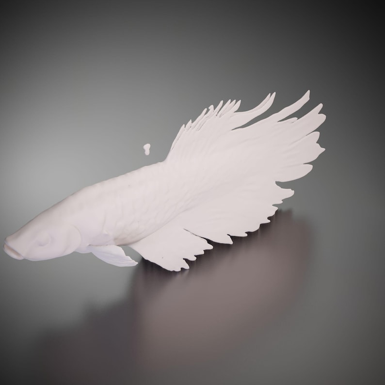 Betta Fish - 3D Printed Model | Custom Size & Color | LED Option ...