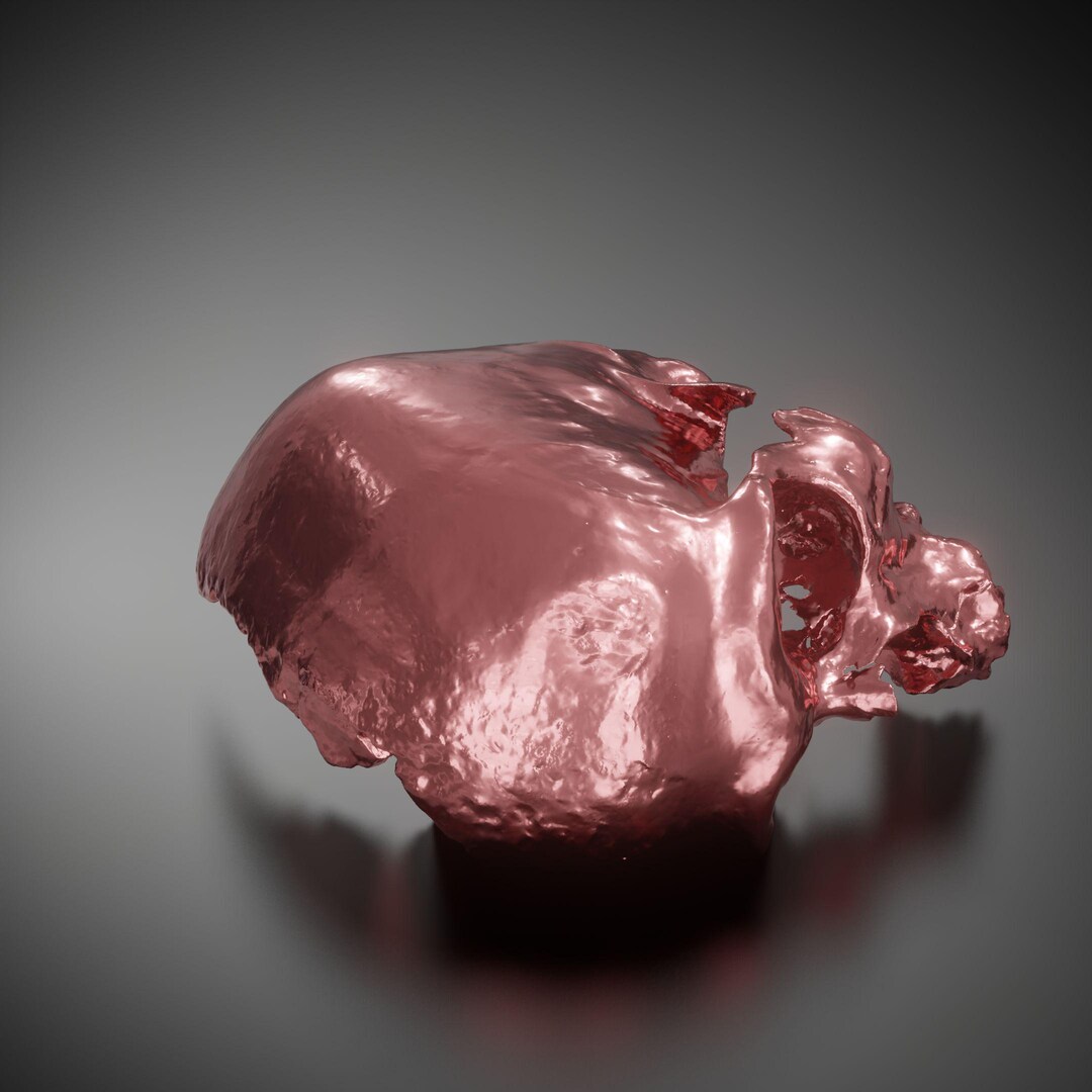 High Quality Hand Painted Half Human Skull in Different Colors - Etsy