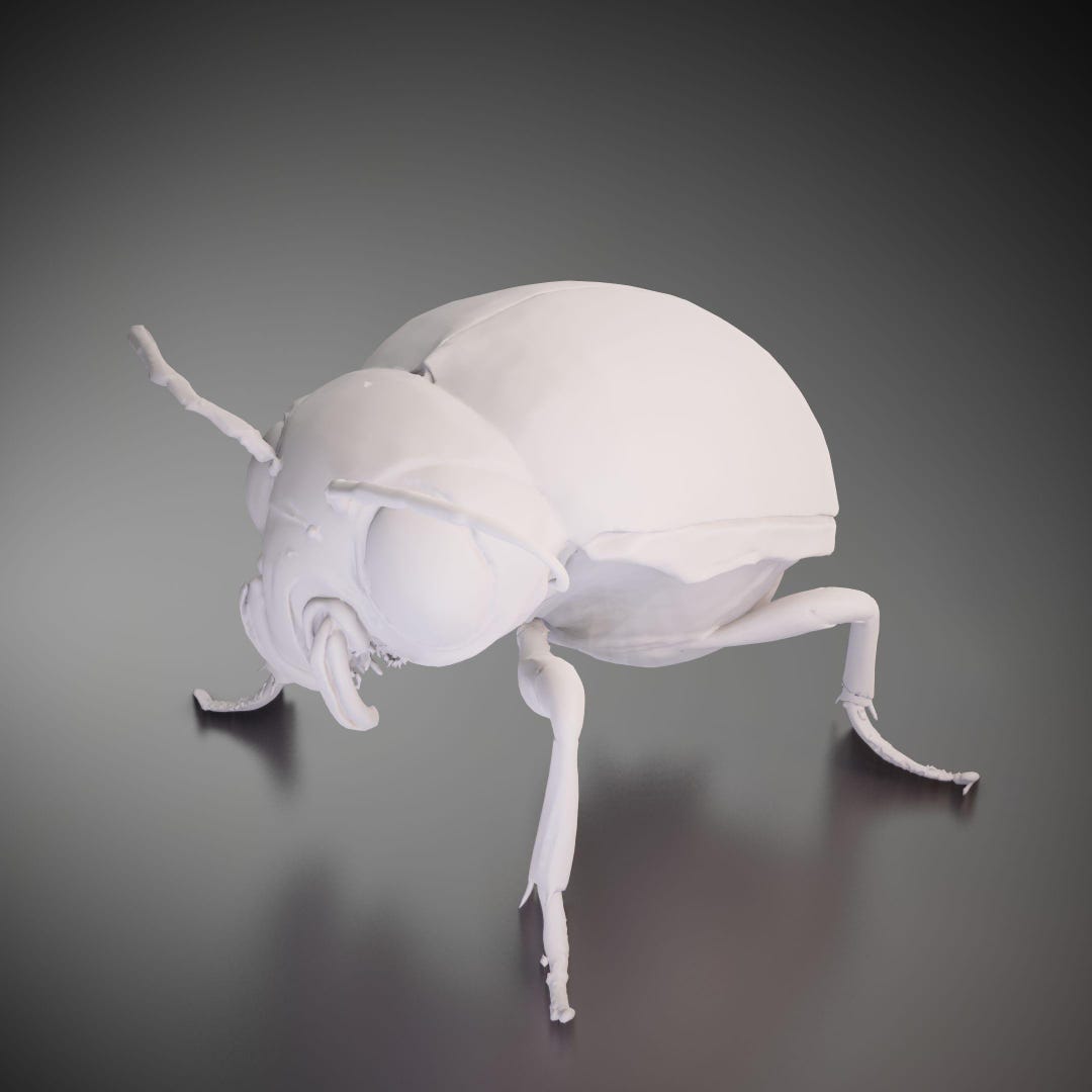 Bug - 3D Printed Model | Custom Size & Color | LED Option | Pendant or ...