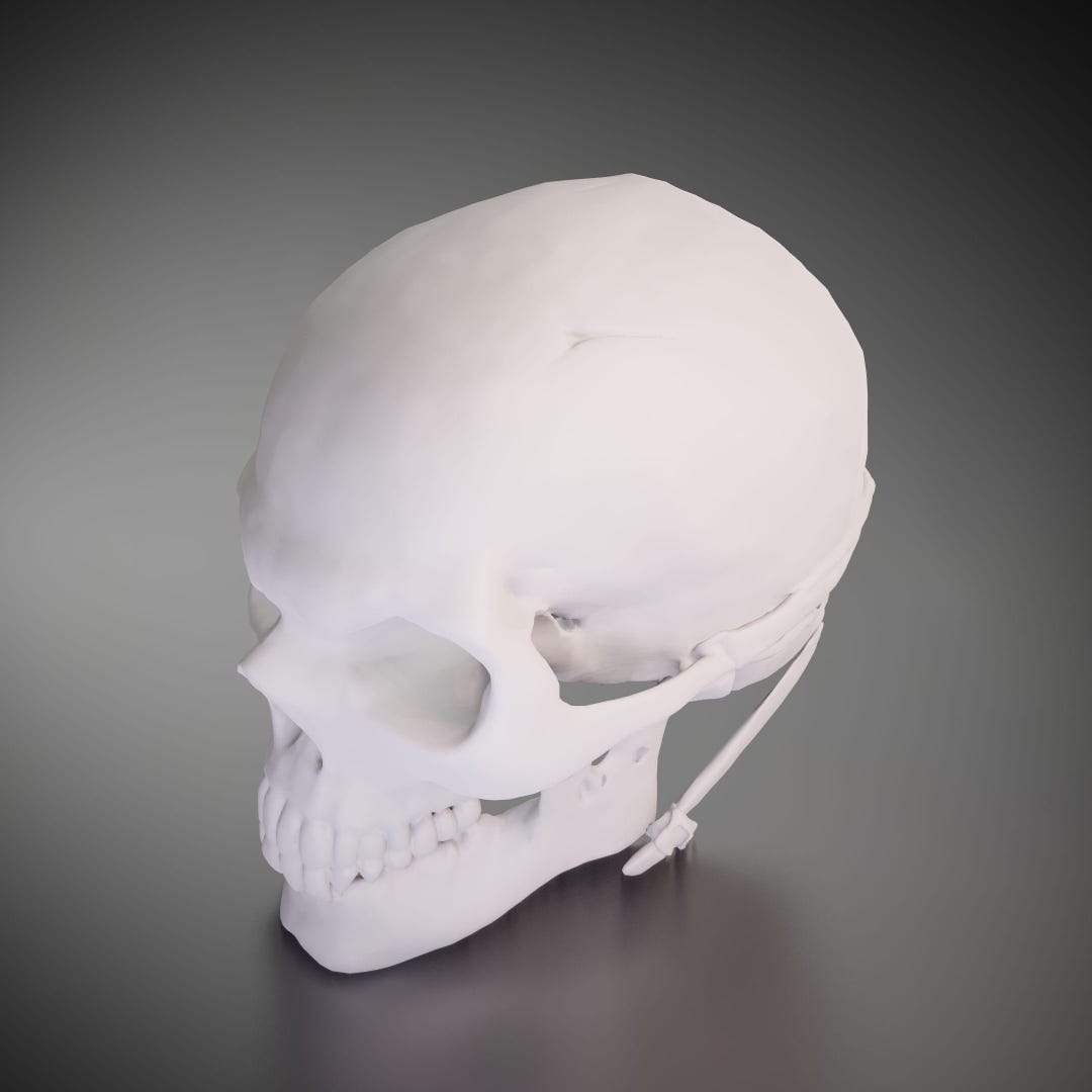 Skull Mask - 3D Printed Model | Custom Size & Color | LED Option ...