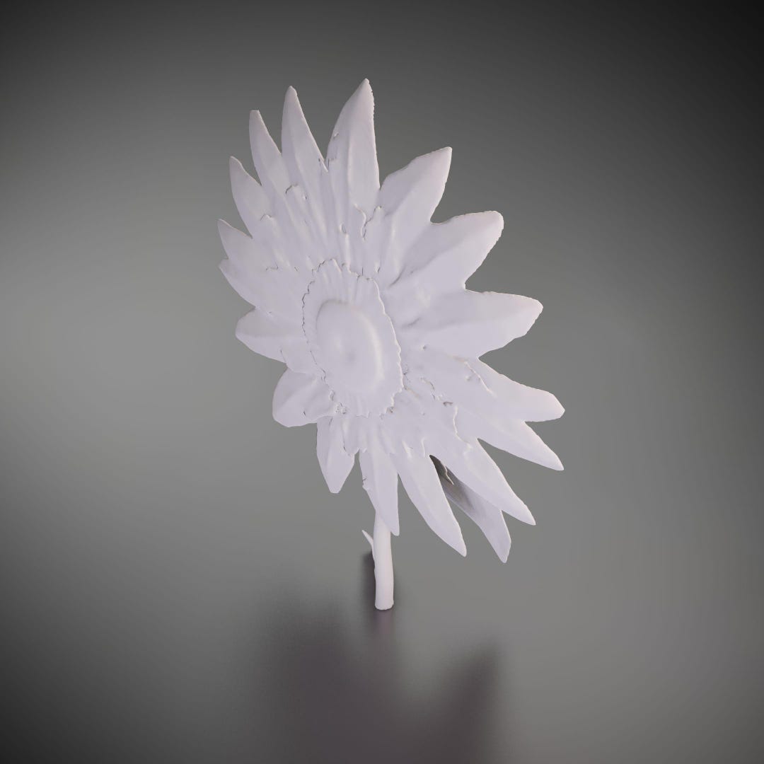 Daisy - 3D Printed Model | Custom Size & Color | LED Option | Pendant ...