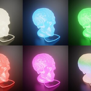 Skull Lamp - 3D Printed Model | Custom Size & Color | LED Option ...