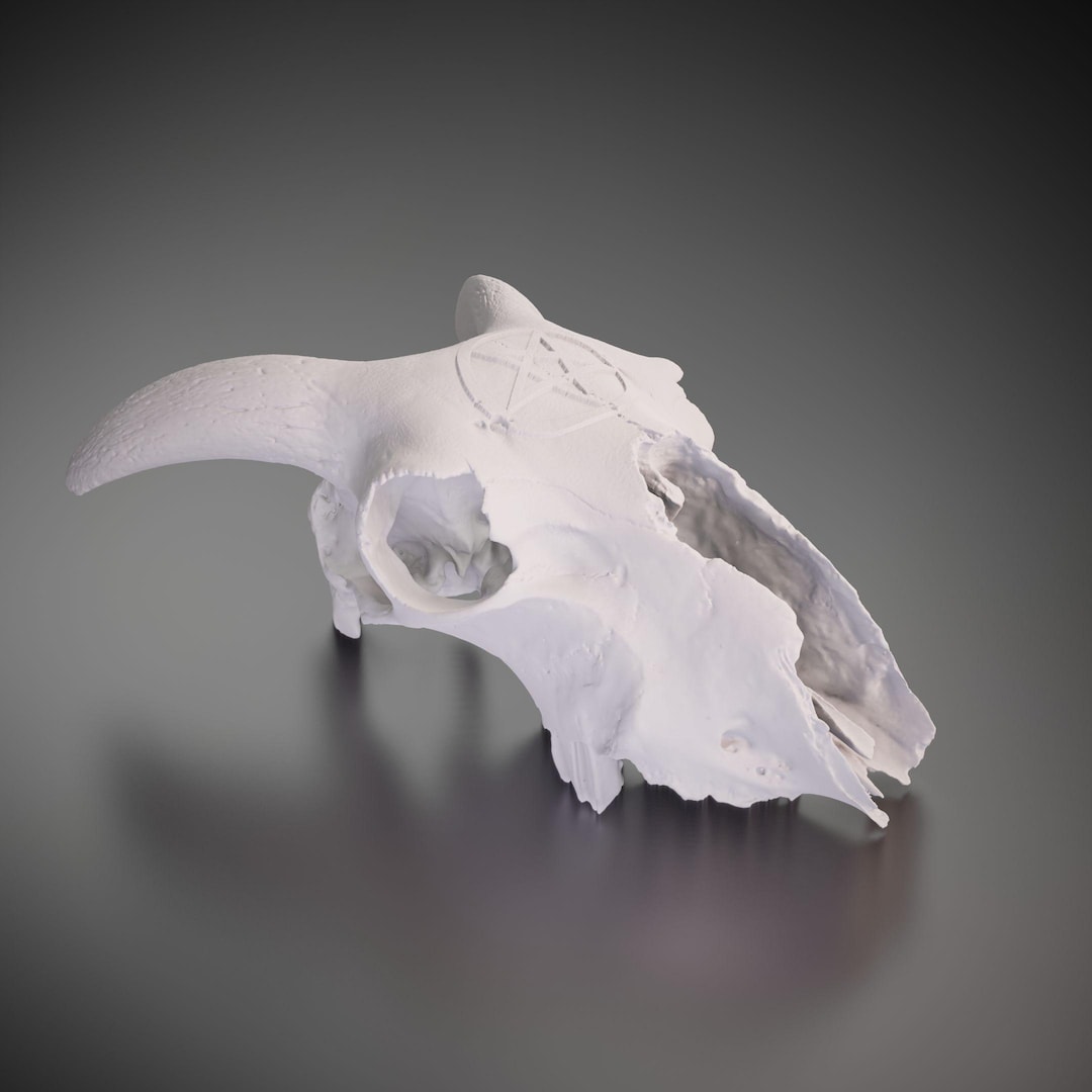 Devil Ram Skull - 3D Printed Model | Custom Size & Color | LED Option ...