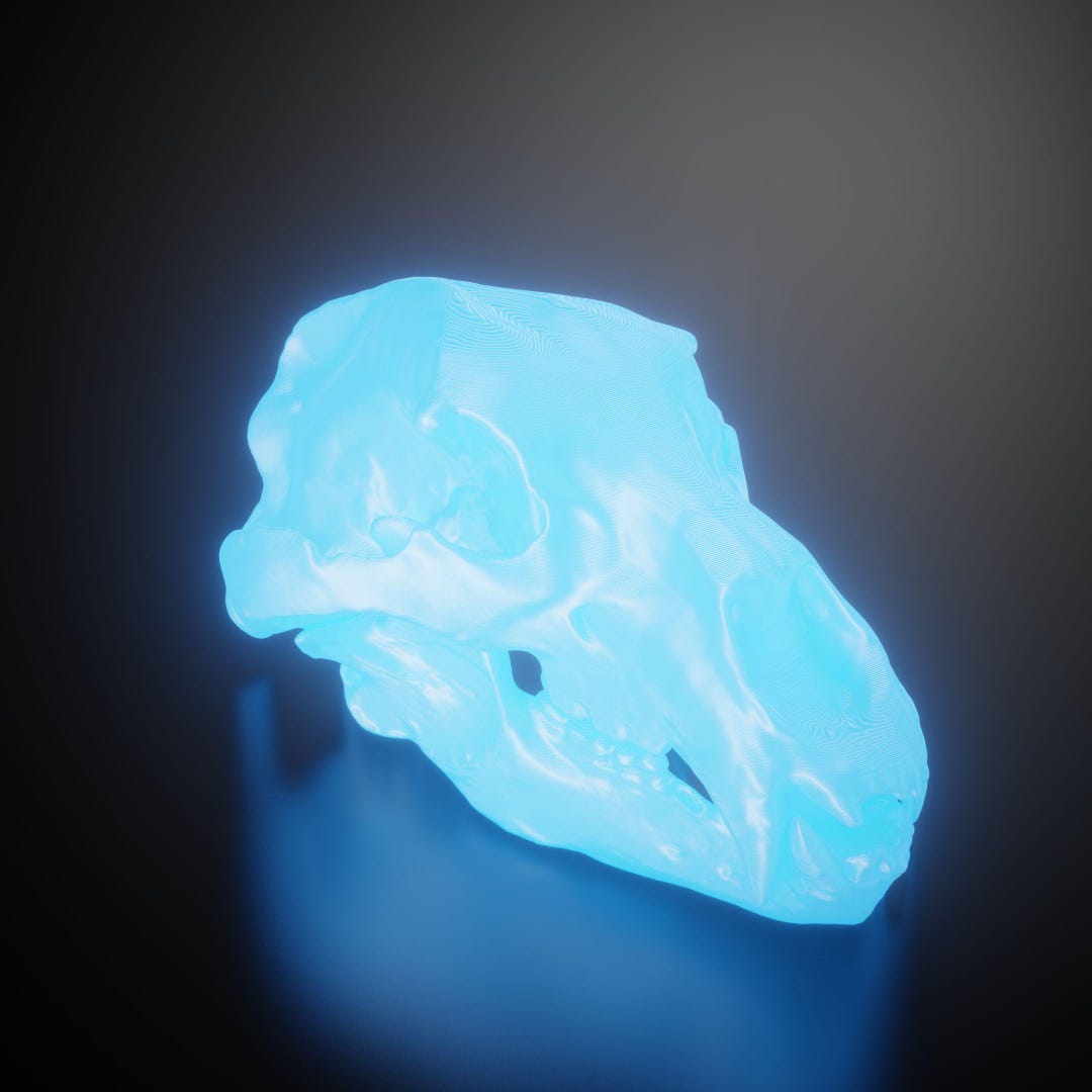 Real Size, Glow in the Dark, High Quality 3D Printed Bear Skull in ...