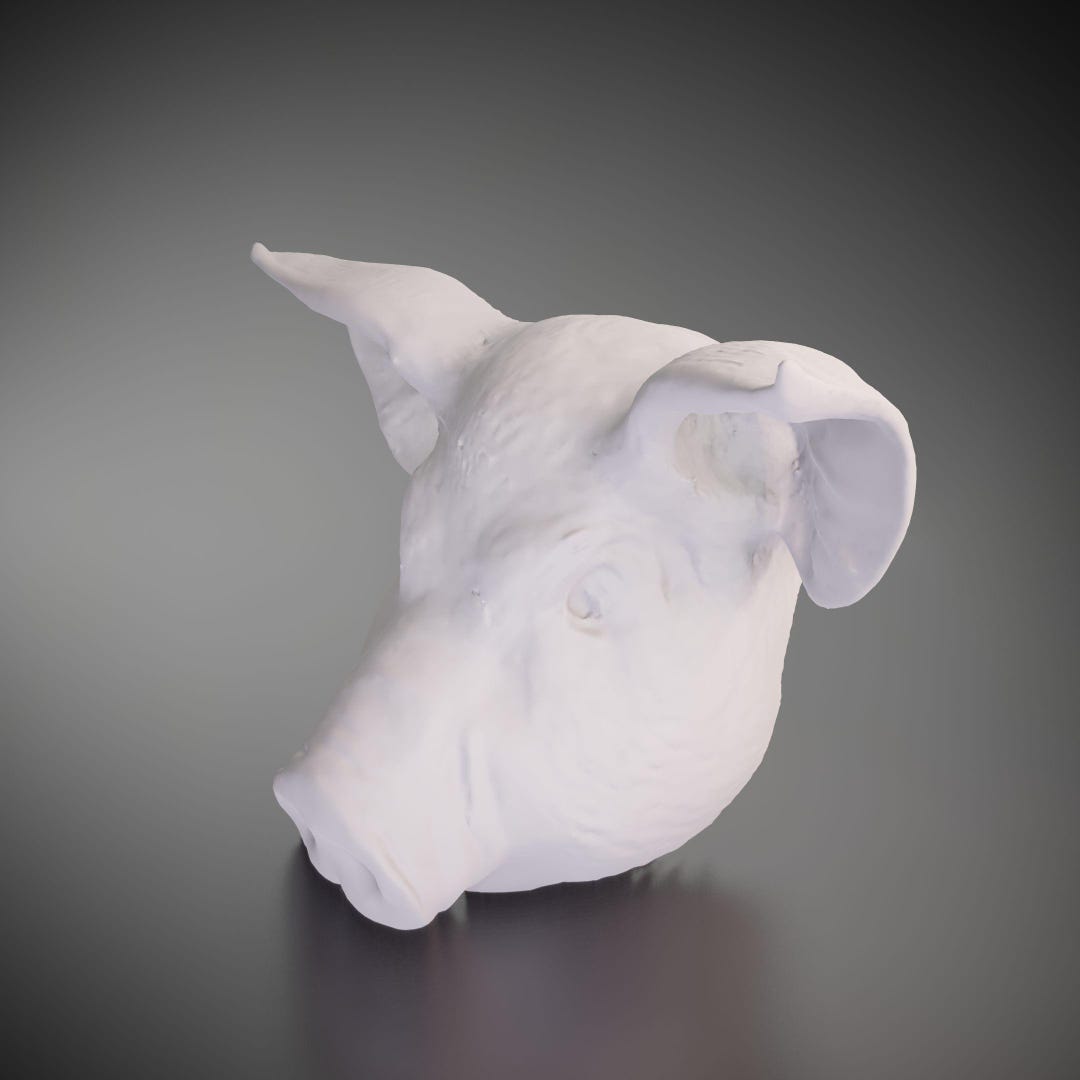 Pig Head - 3D Printed Model | Custom Size & Color | LED Option ...