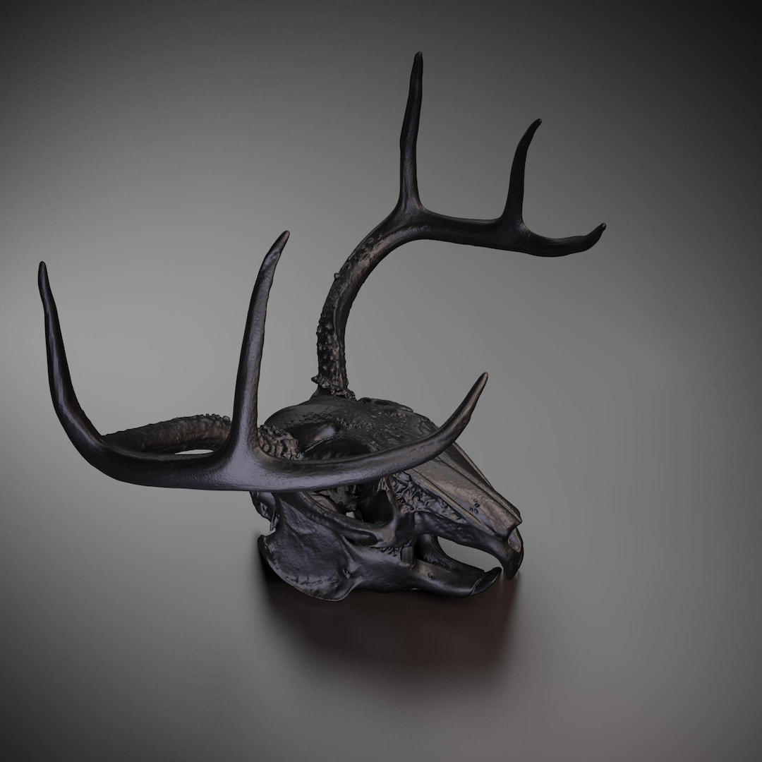 Jackalope Skull - 3D Printed Model | Custom Size & Color | LED Option ...