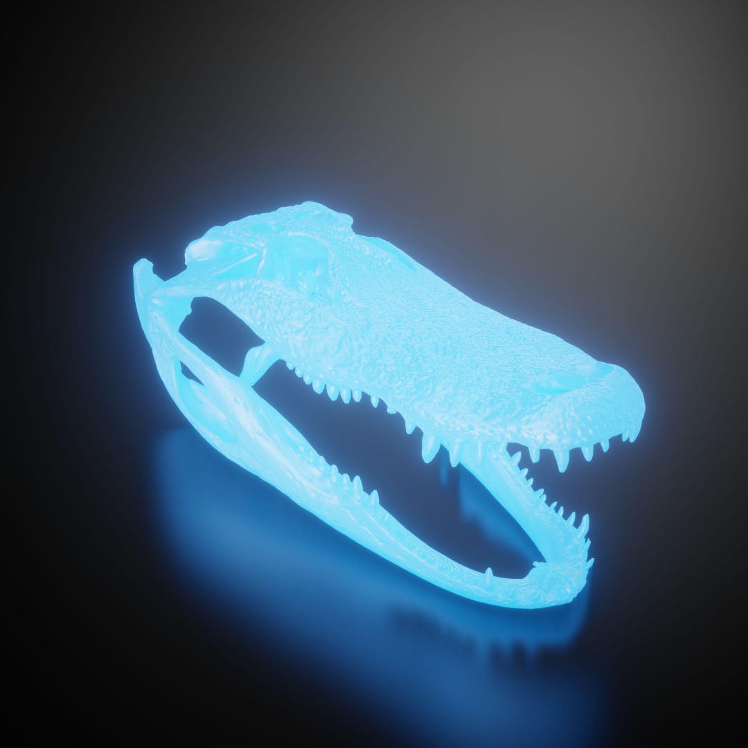 Real Size, Glow in the Dark, High Quality 3D Printed Alligator Skull in ...