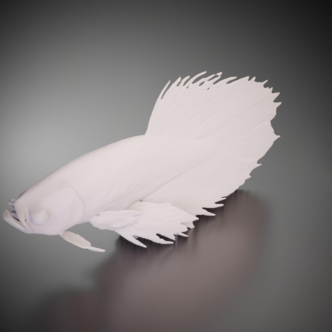 Betta Fish - 3D Printed Model | Custom Size & Color | LED Option ...