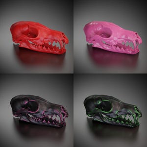 Fox Skull - 3D Printed Model | Custom Size & Color | LED Option ...