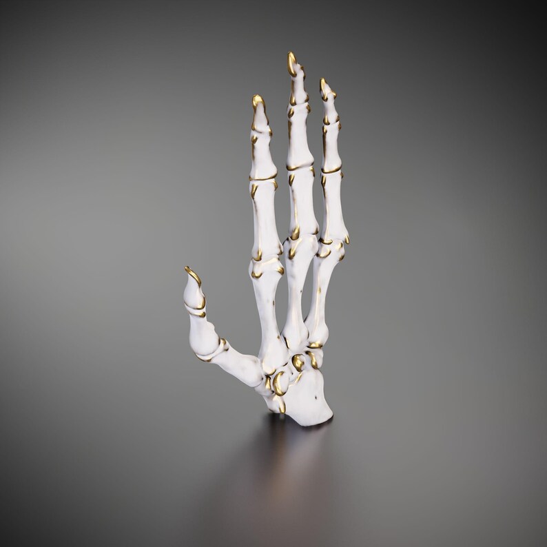 Skeleton Hand - 3D Printed Model | Custom Size & Color | LED Option ...