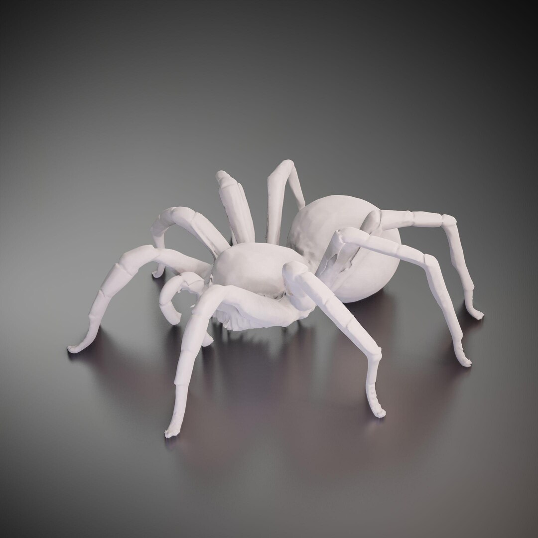 Spider - 3D Printed Model | Custom Size & Color | LED Option | Pendant ...
