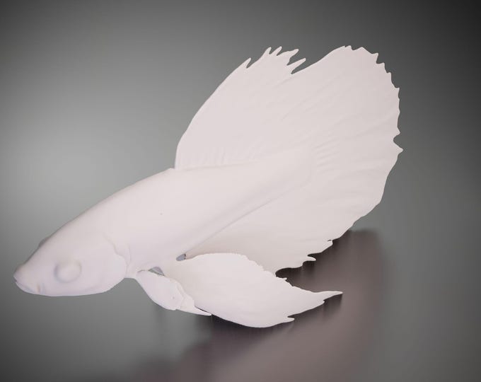 Betta Fish - 3D Printed Model | Custom Size & Color | LED Option ...