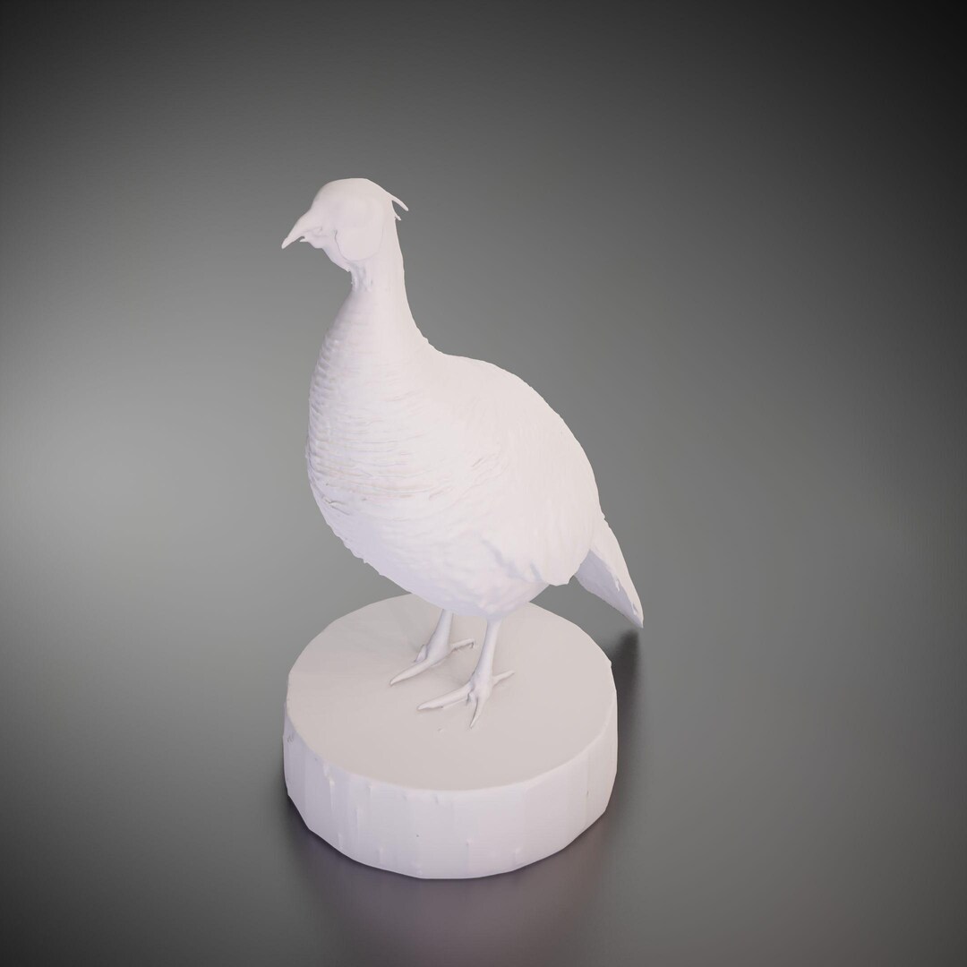 Pheasant on Stand - 3D Printed Model | Custom Size & Color | LED Option ...