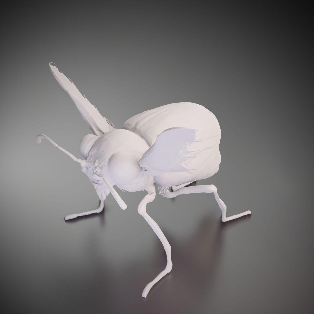 Bug - 3D Printed Model | Custom Size & Color | LED Option | Pendant or ...