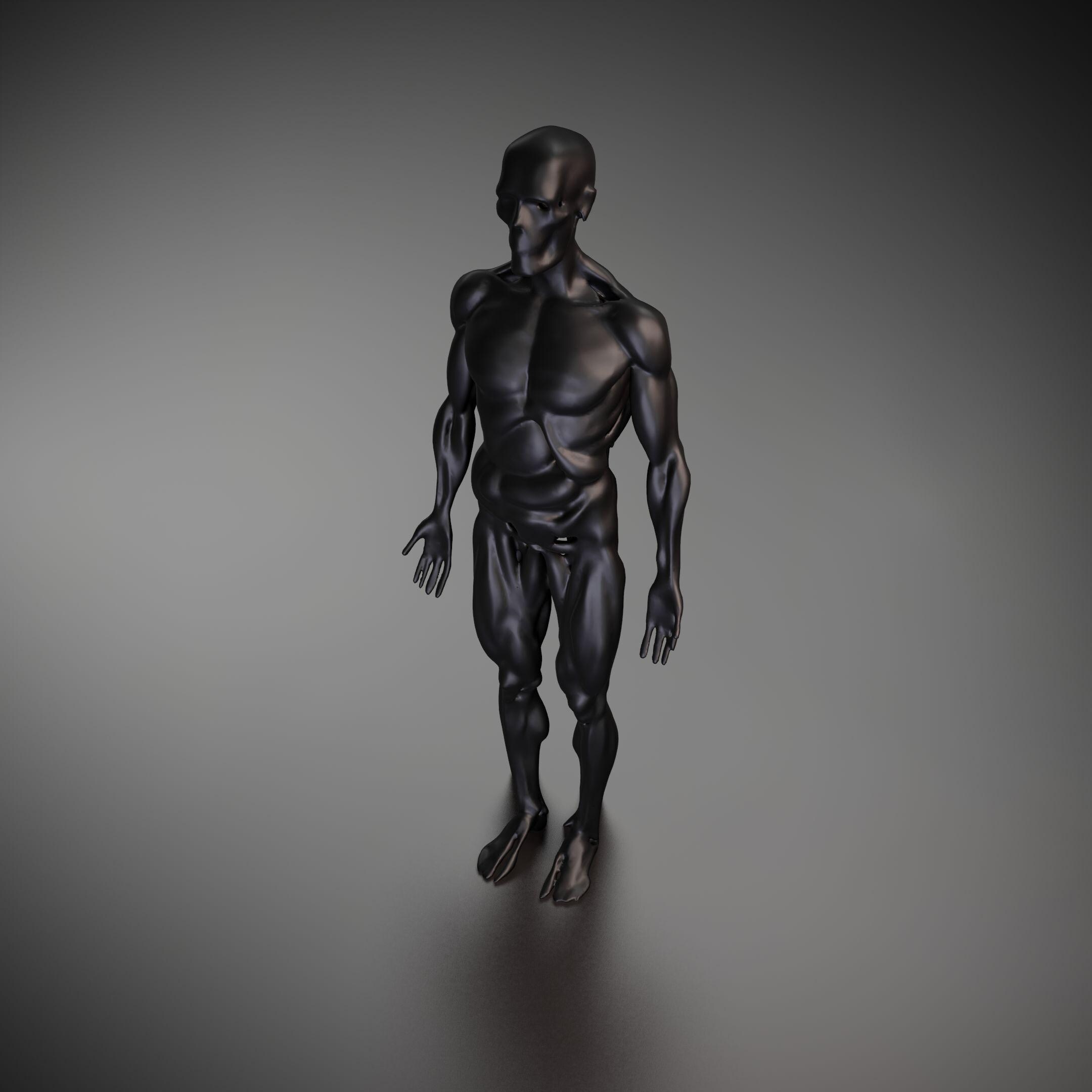 Human Anatomy - 3D Printed Model | Custom Size & Color | LED Option ...