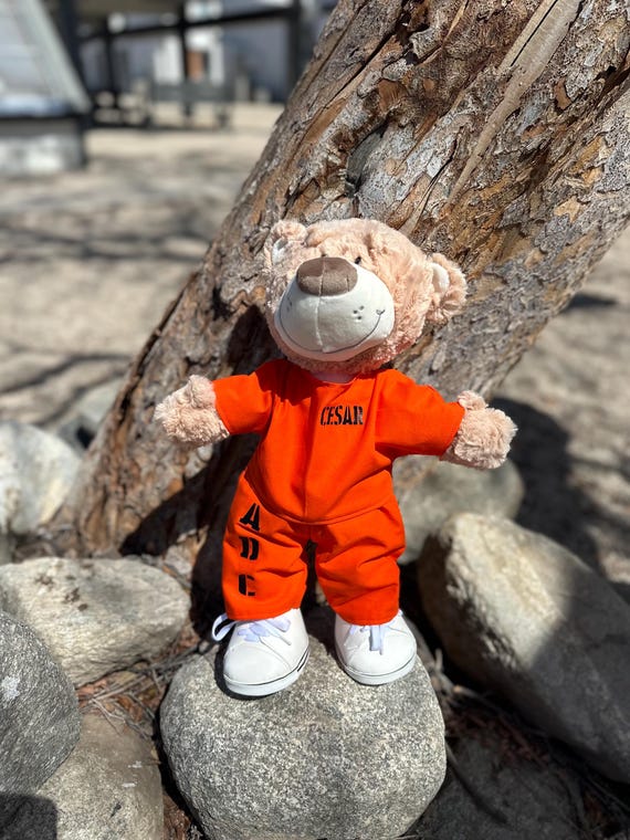 Uniforme De Explorador De Oso En Venta Uniform Teddy Bear Etsy