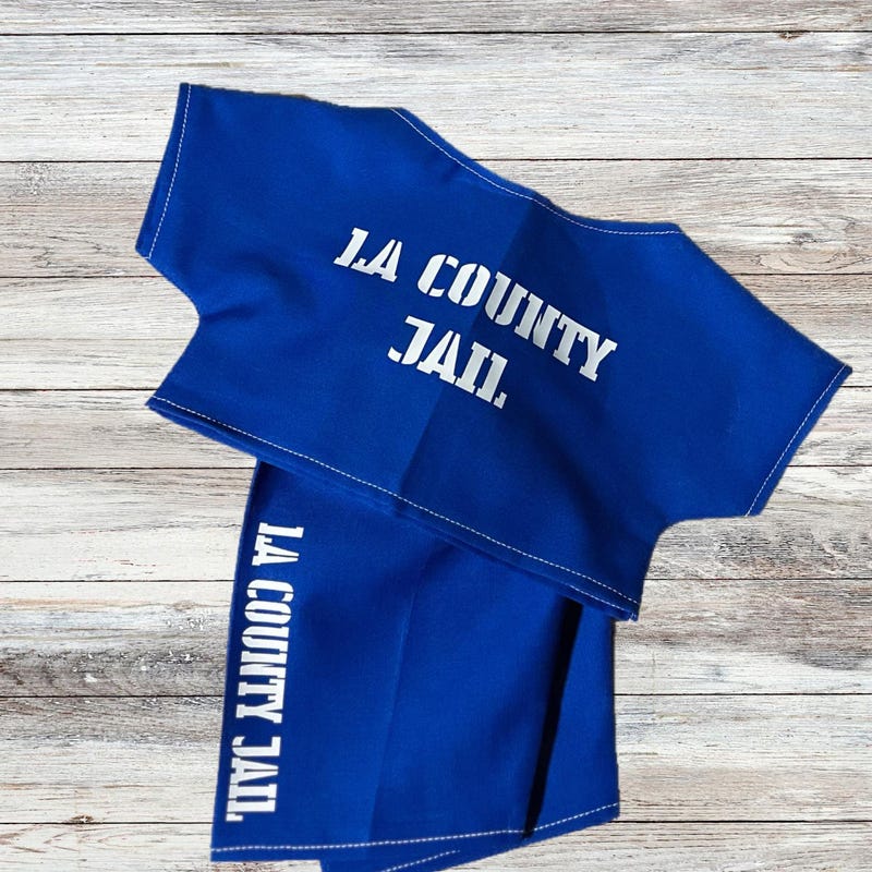 Jail Inmate Costume - Etsy