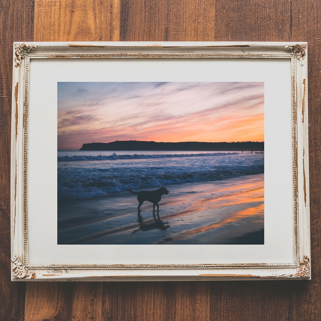 Dog Photo Print for Home Decor - Animal Photography Gift for Dog Lovers ...