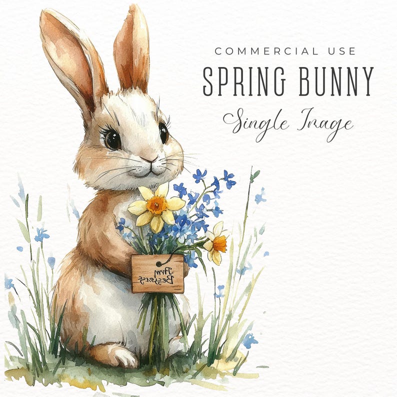 Watercolor Spring Bunny Clipart, Colorful Spring, Digital Download PNG ...