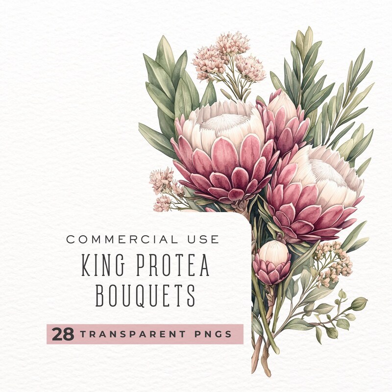 King Protea - Etsy