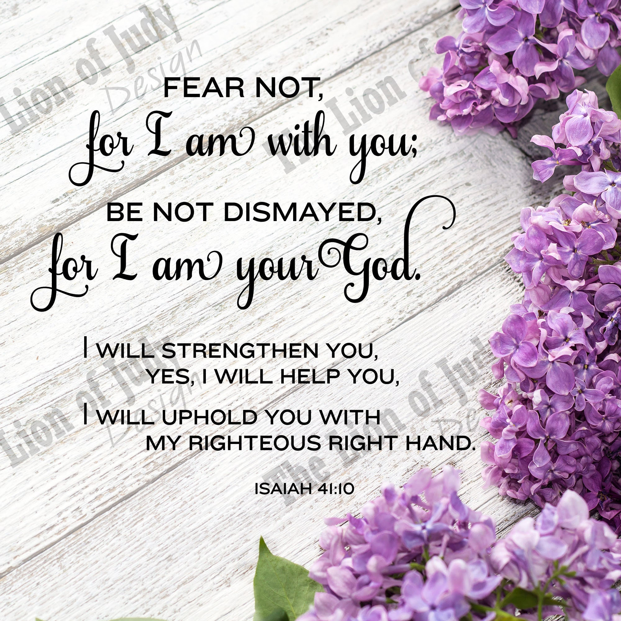 Isaiah 41 10