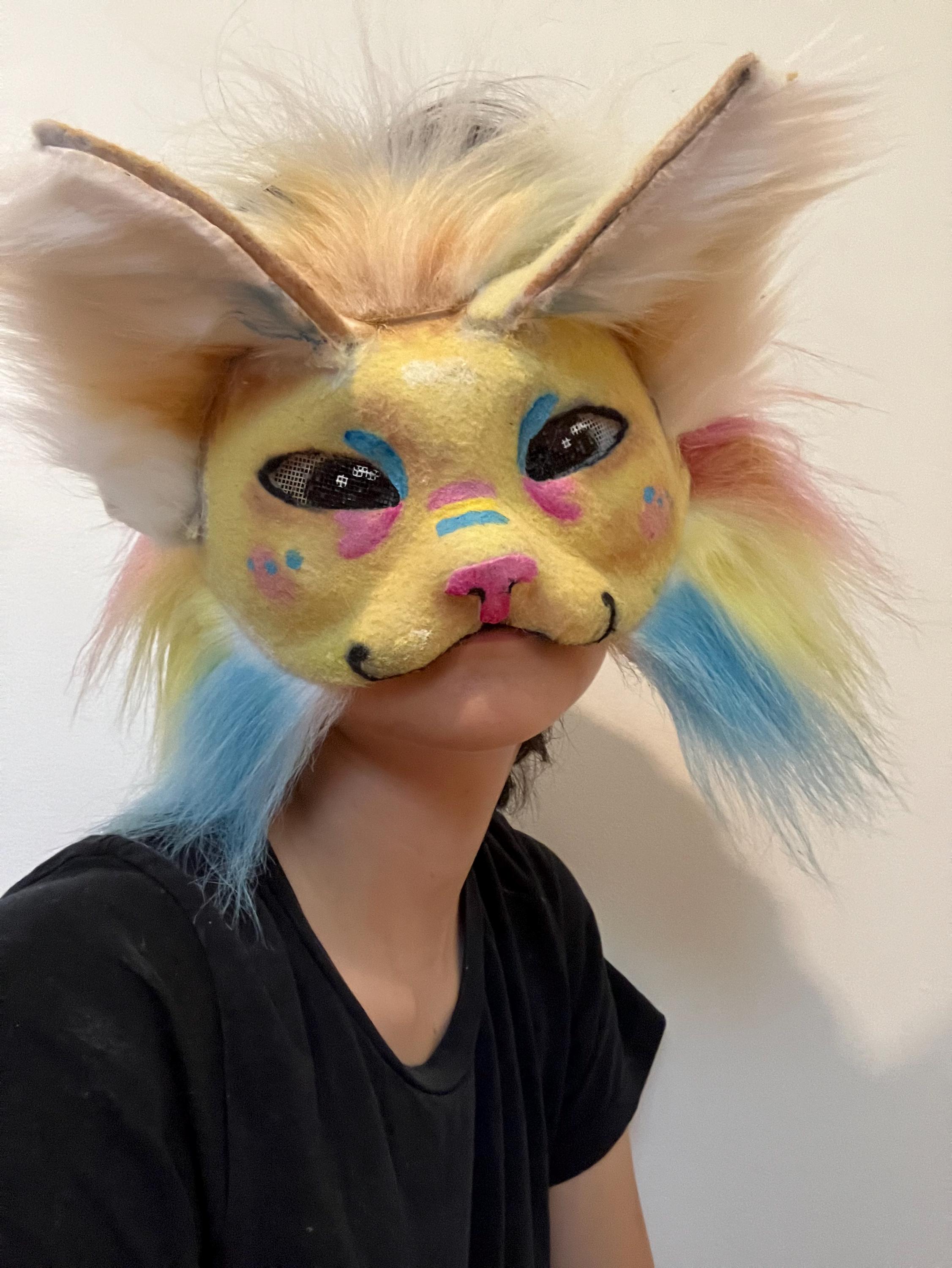 Pansexual Pride Cat Mask - Etsy