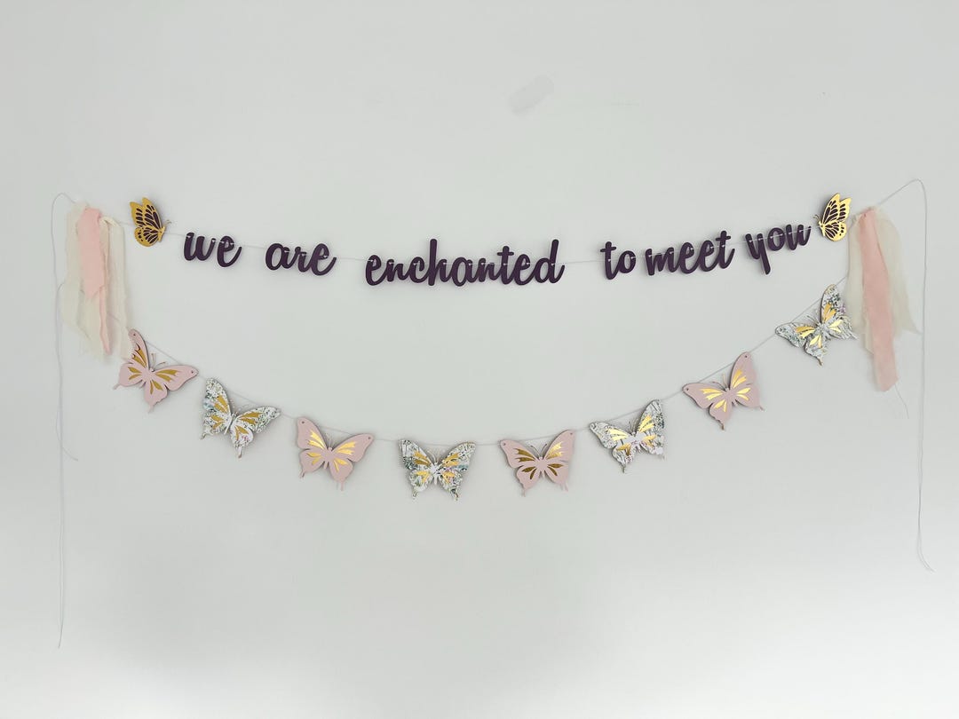 We Are Enchanted to Meet You Banner - Etsy