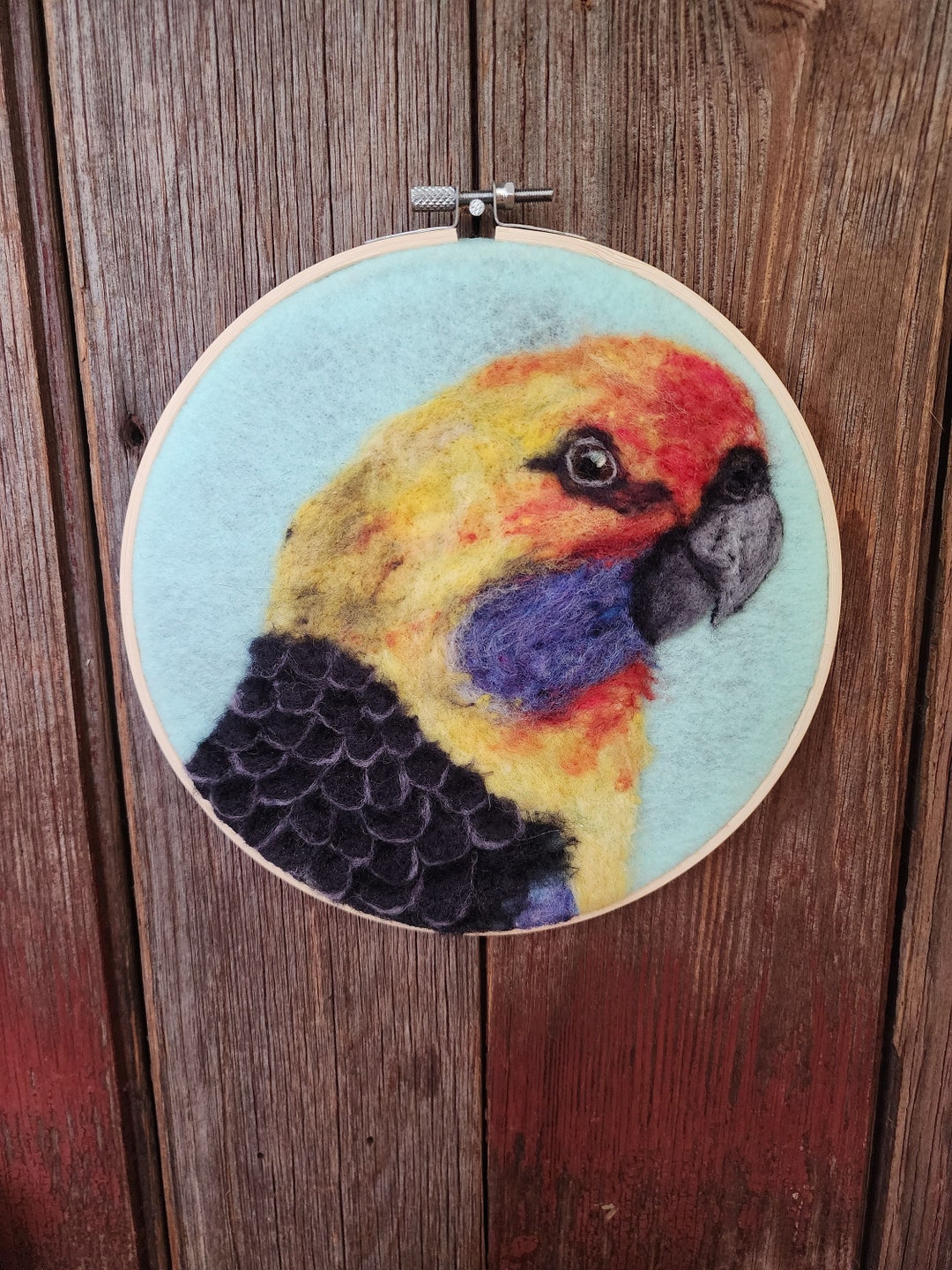 Needle Felted Parrot Wall Art - Etsy