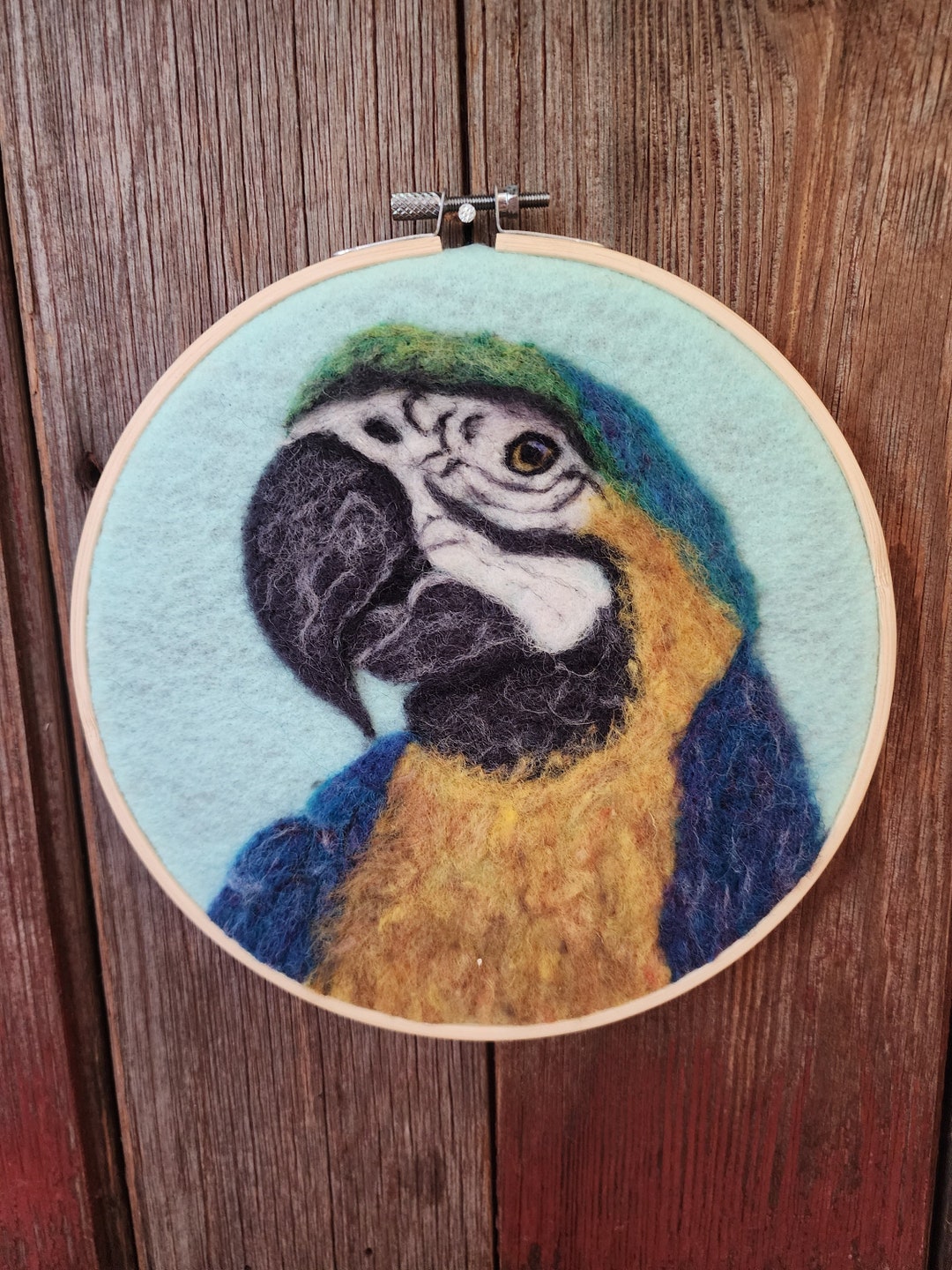 Needle Felted Parrot Wall Art - Etsy