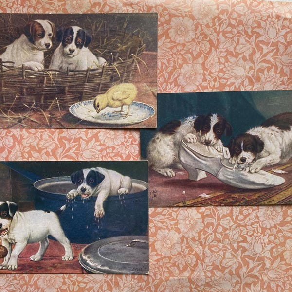 Dog Postcard - Etsy