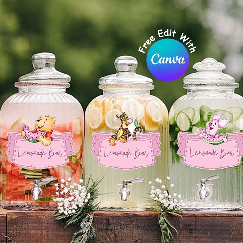 Pink Lemonade Classic - Etsy