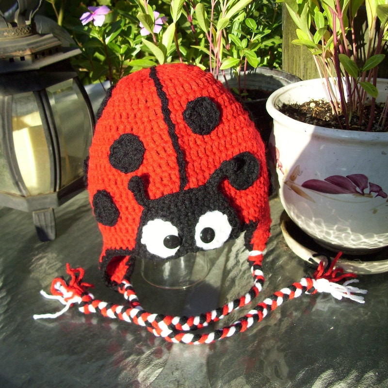 Lady Bug Hat - Etsy