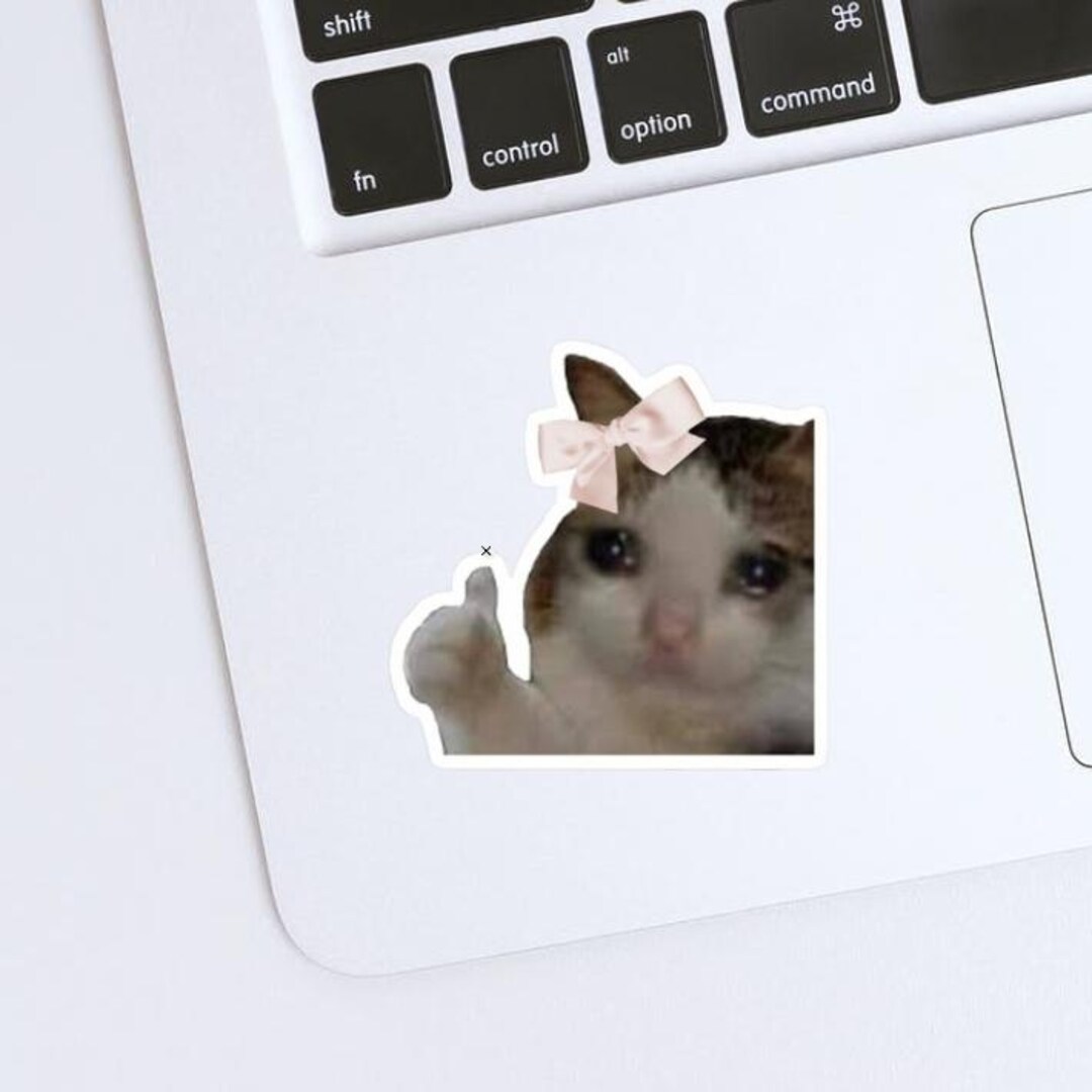 Sad Coquette Cat Vinyl Decal Sticker UV & Water Proof 4.2 - Etsy