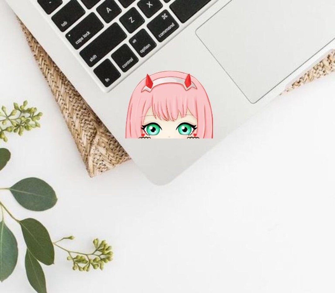 Zero2 Peaker Eyes Vinyl Decal Sticker UV & Water Proof ''4x2 - Etsy