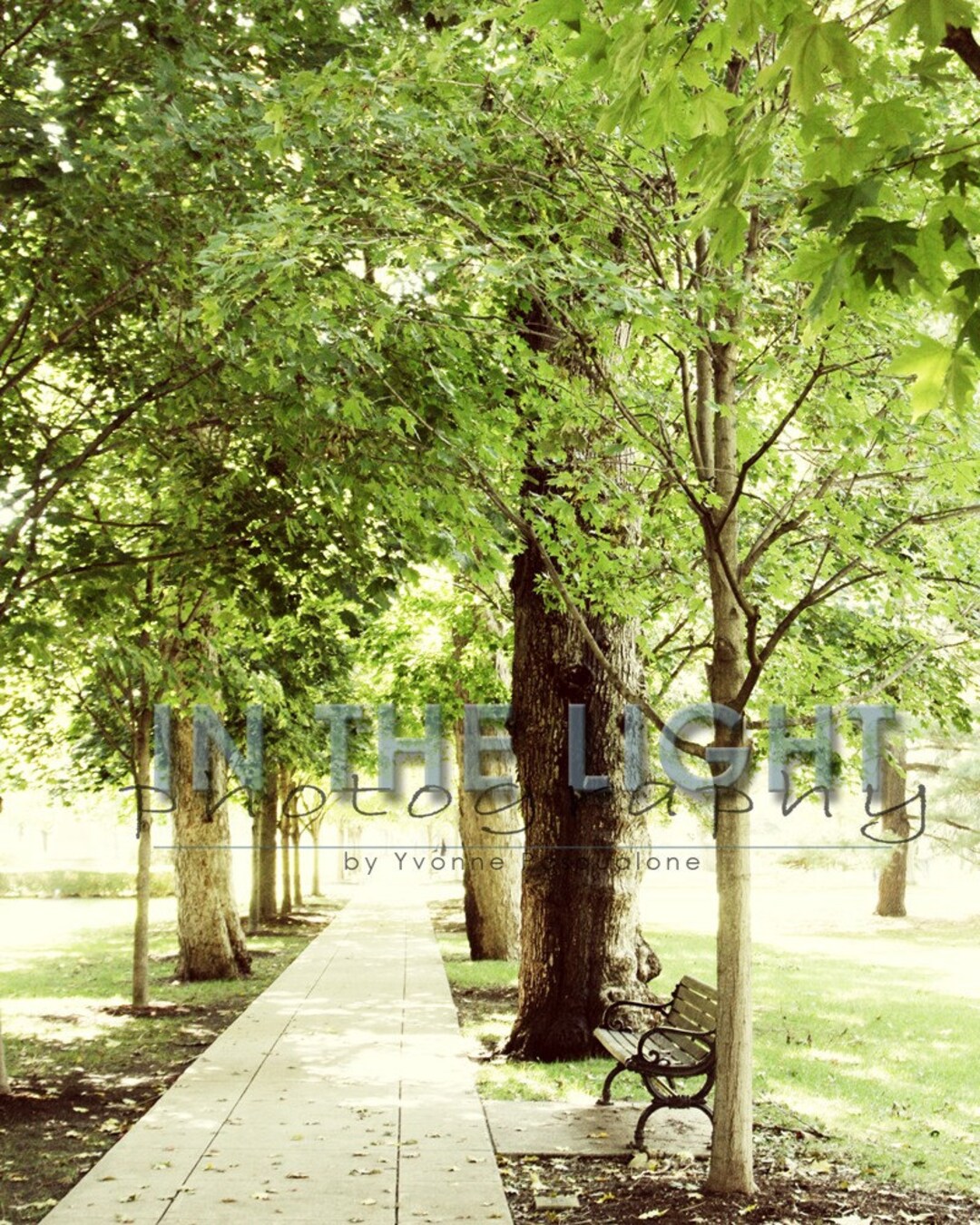 Notre Dame Campus Walkway - Fine Art Photography - Etsy