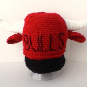 NEW NBA Chicago BULLS Ultimate 3 D Novelty Fans Hat - Etsy