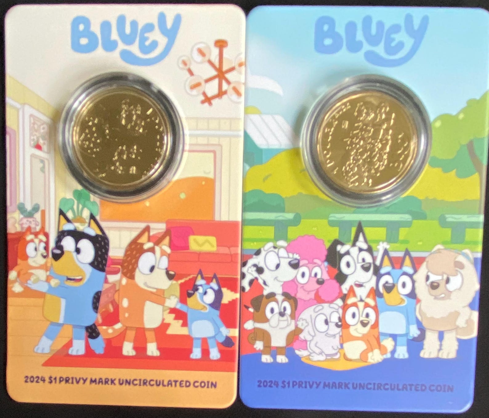 Limited Edition 2024 Bluey Complete Set of 10 Dollarbucks With Privy ...