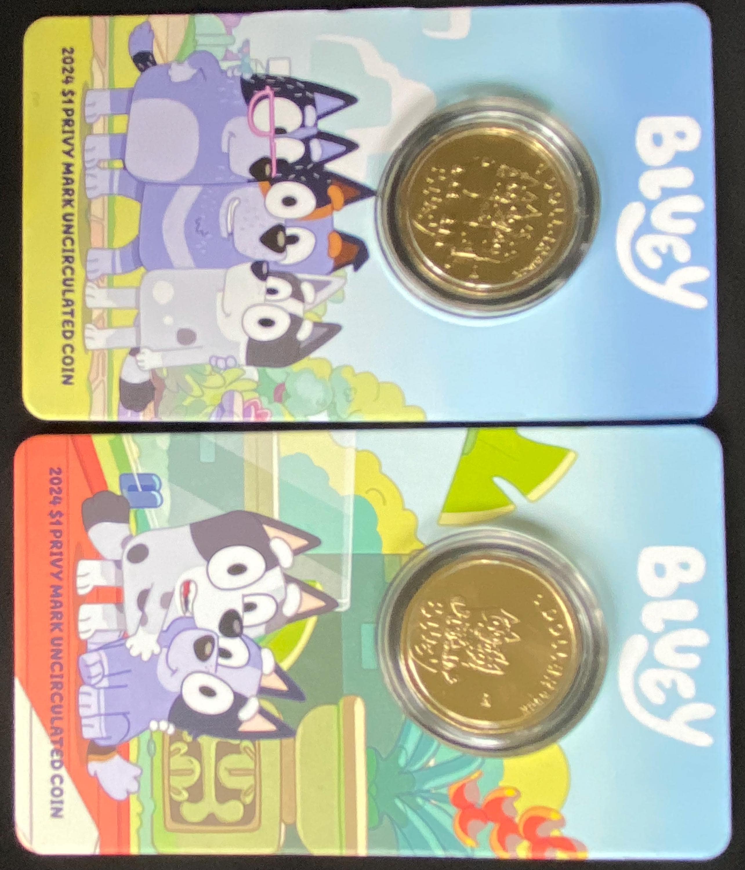 Limited Edition 2024 Bluey Complete Set of 10 Dollarbucks With Privy ...