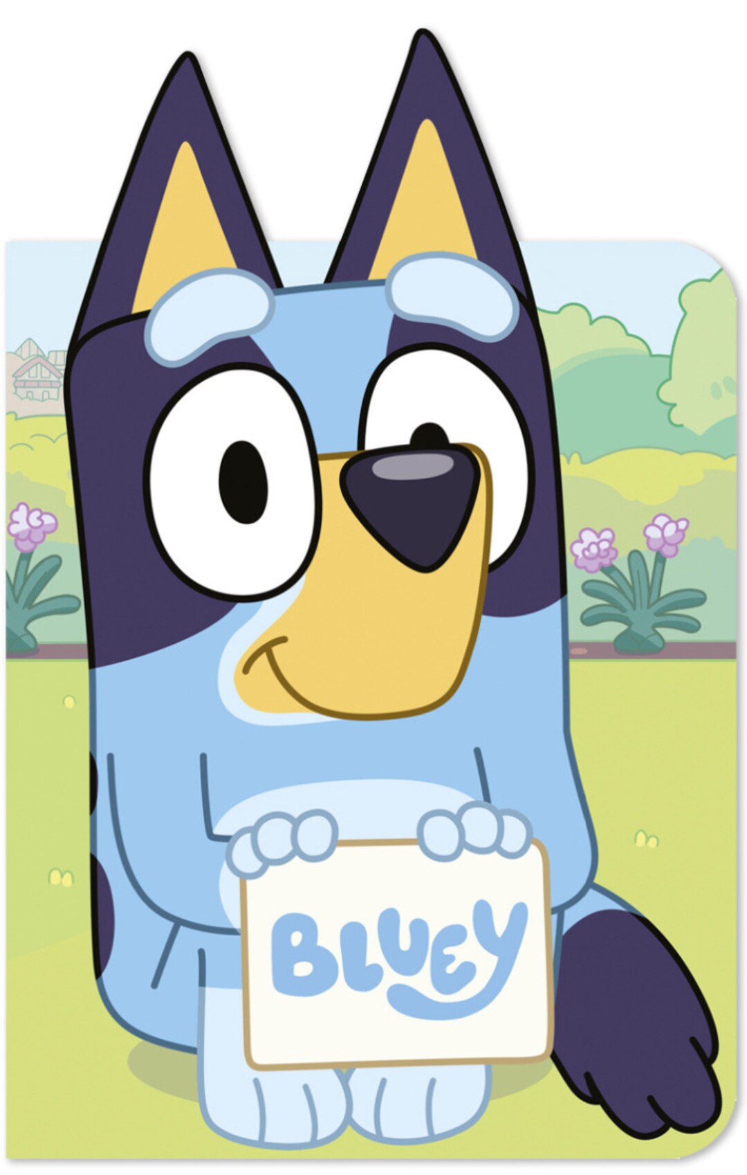 2024 Bluey Complete 12 Stamp Set Brand New Unopened - Etsy