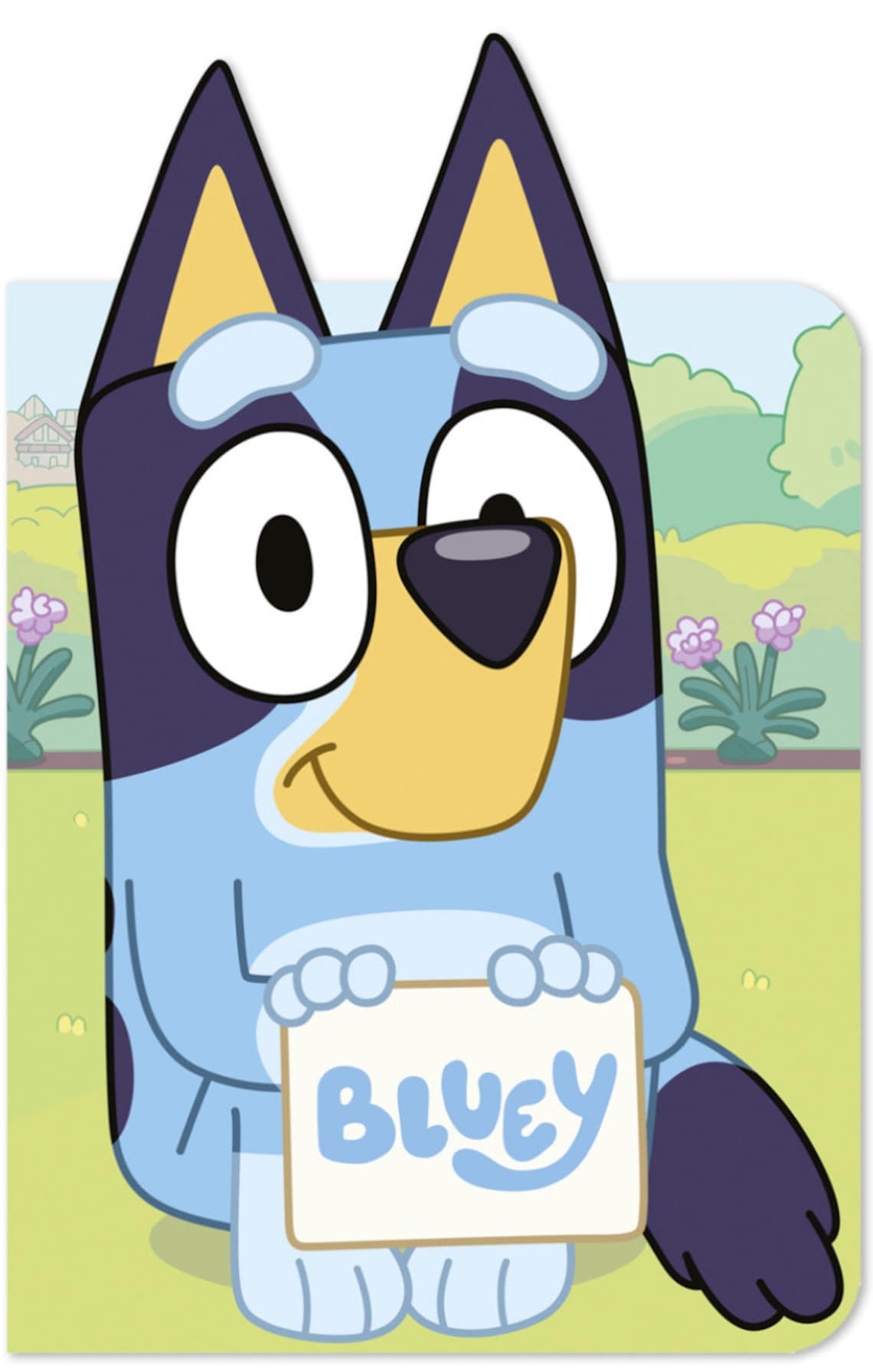 2024 Bluey Complete 12 Stamp Set Brand New Unopened - Etsy